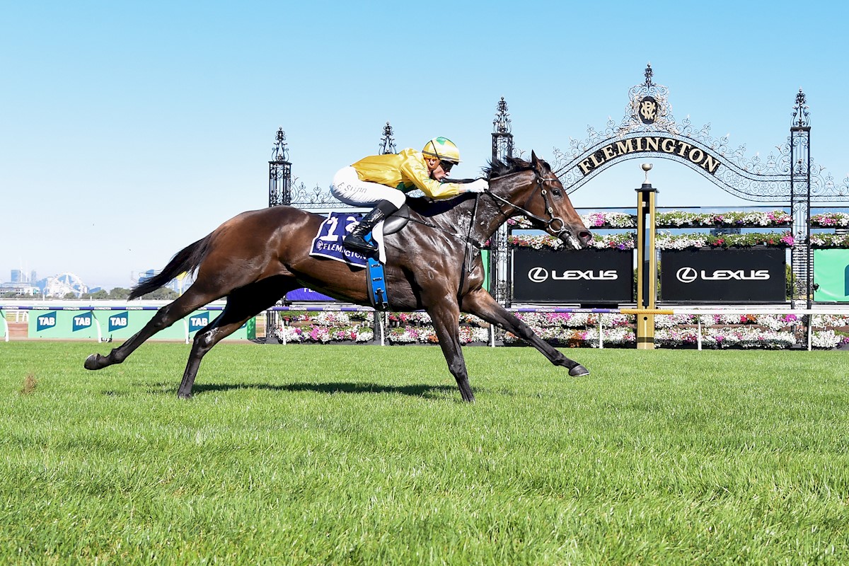 Electric Estriella on a Manikato mission - ANZ Bloodstock News