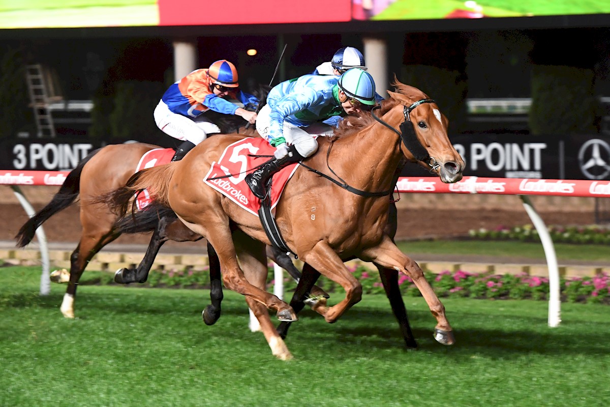 Empire Rose on the horizon for Alsephina - ANZ Bloodstock News