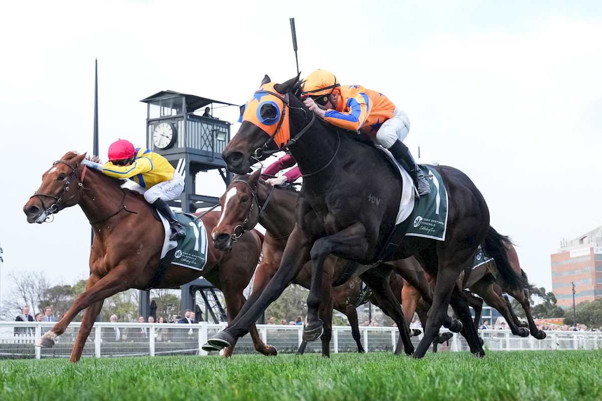 Split loyalties set to test the Huddy family - ANZ Bloodstock News