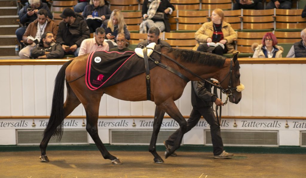 Dwyer makes first trip to Tattersalls count - ANZ Bloodstock News