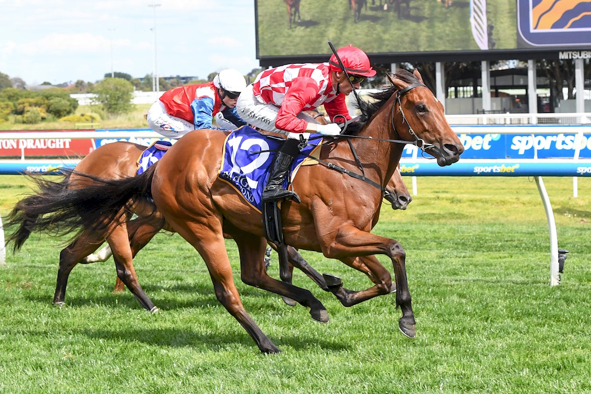 Miss Celine (AUS) - ANZ Bloodstock News