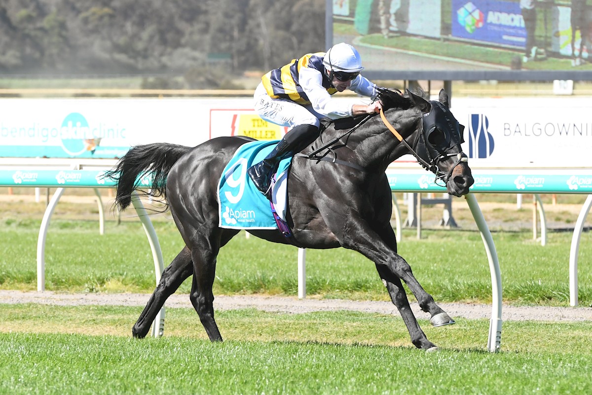 Eustace’s Sea King reigns supreme in the Bendigo Cup - ANZ Bloodstock News
