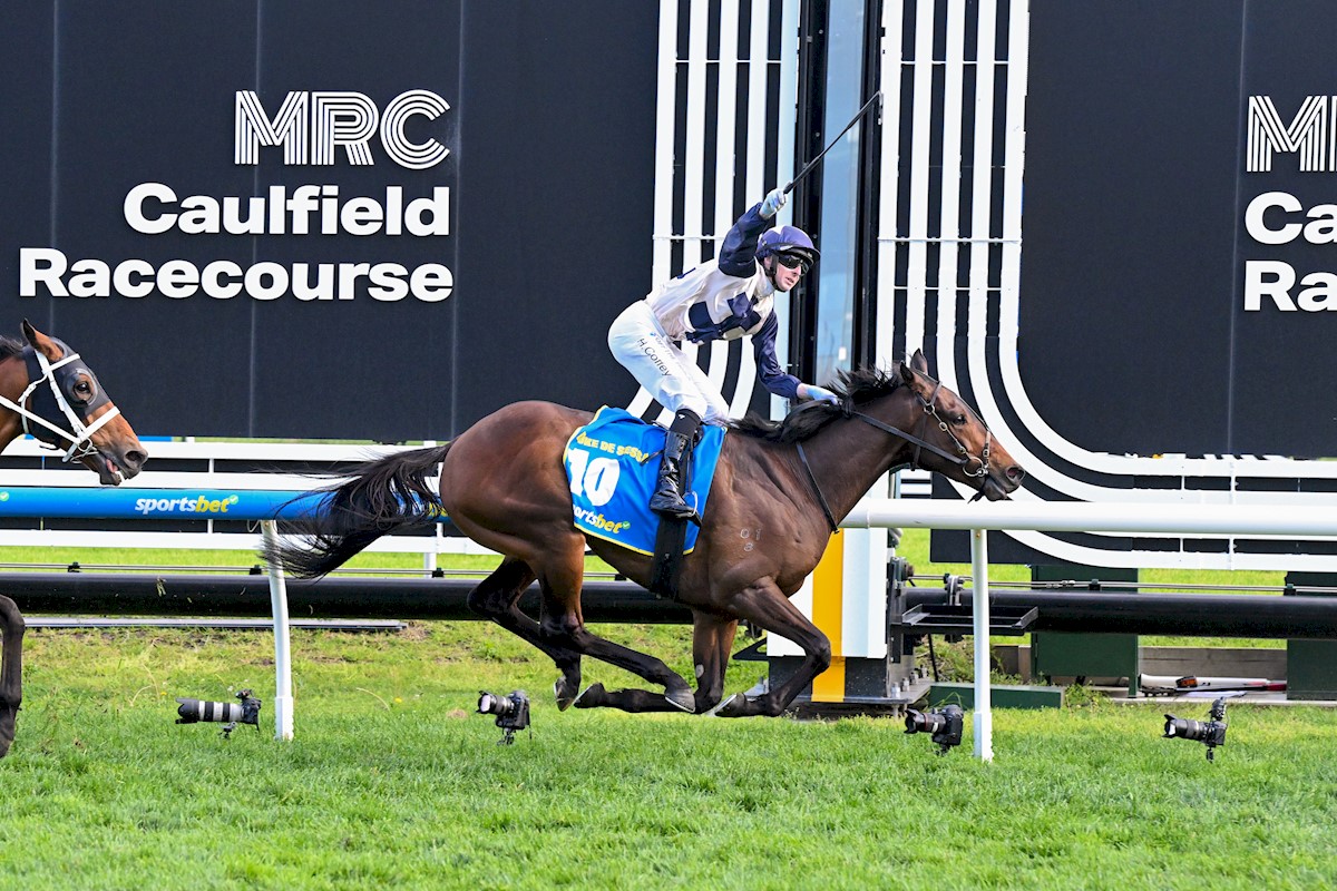 Duke De Sessa gets it right on the day in Caulfield Cup - ANZ ...