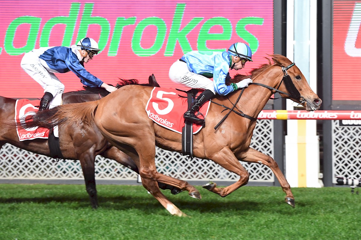 Alsephina ready to bloom in the Empire Rose - ANZ Bloodstock News