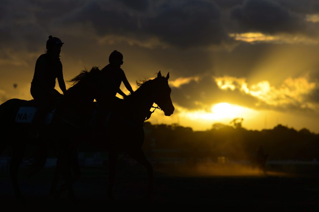 Racing NSW and Racing RA hit major block as ARF reject all 17 upgrades ...