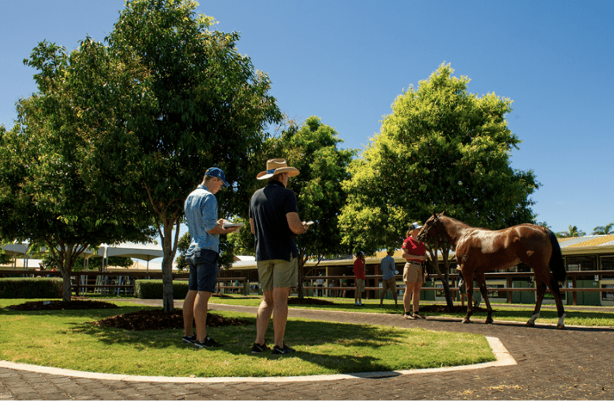 Bowditch expecting more Magic on the Coast - ANZ Bloodstock News
