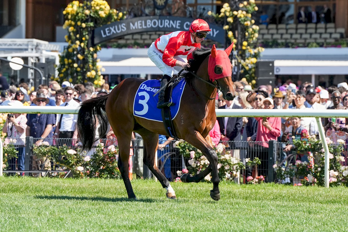 Bacash out to extend Lindsay Park’s baby boom - ANZ Bloodstock News