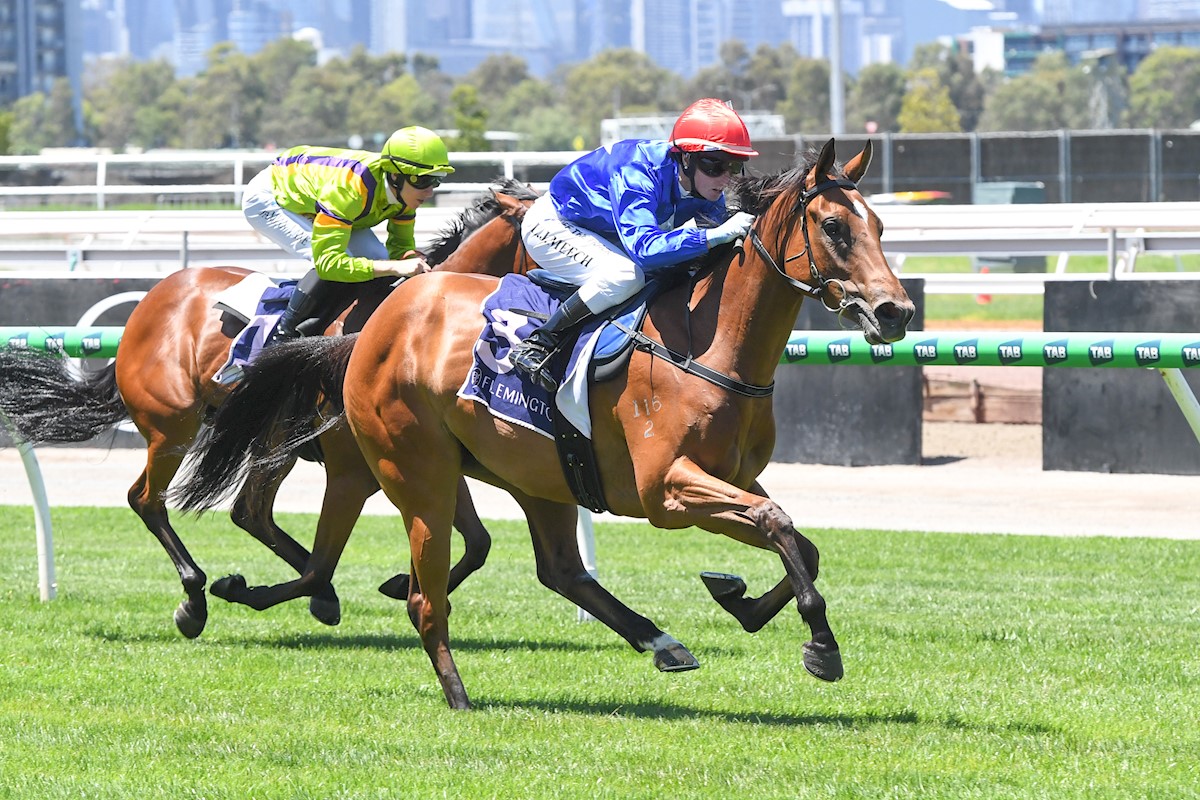 Inglis Millennium plan for Cavalry Girl - ANZ Bloodstock News