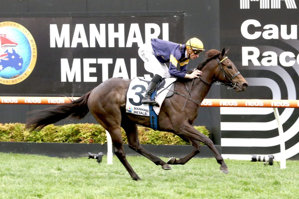 Coeur Volante flying ahead of Bellmaine return - ANZ Bloodstock News