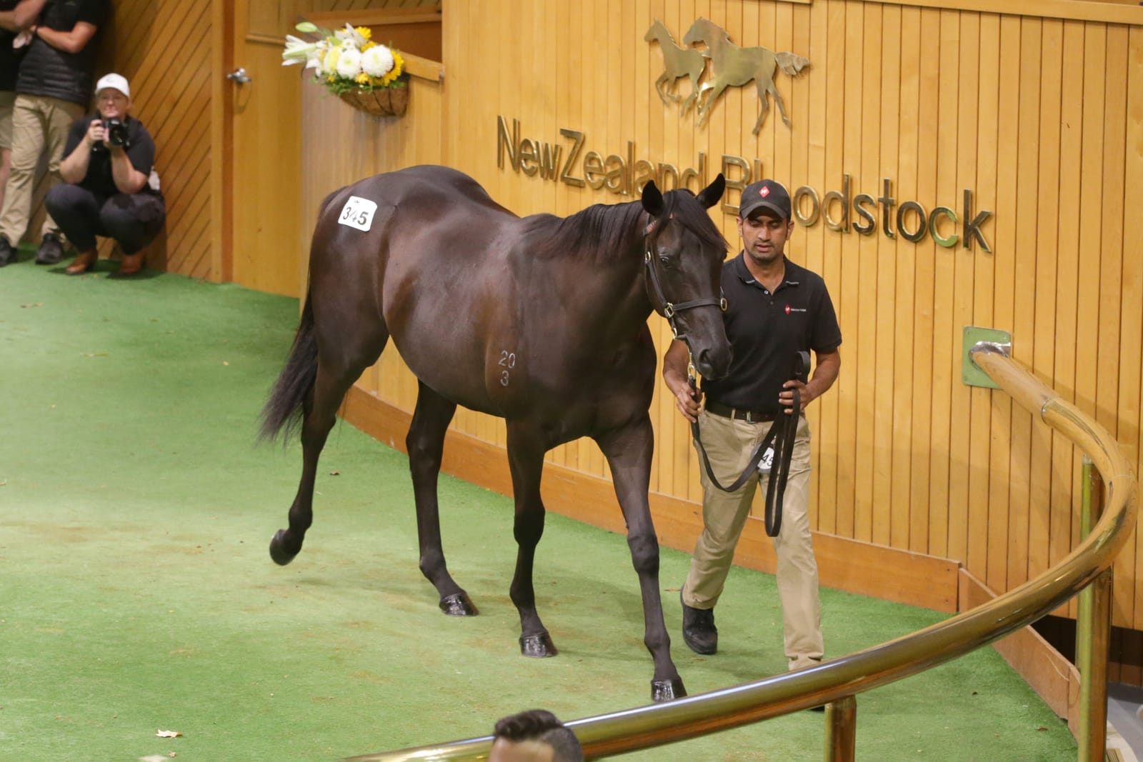 Orchestral’s sister hits the $2.4 million top note at Karaka - ANZ ...