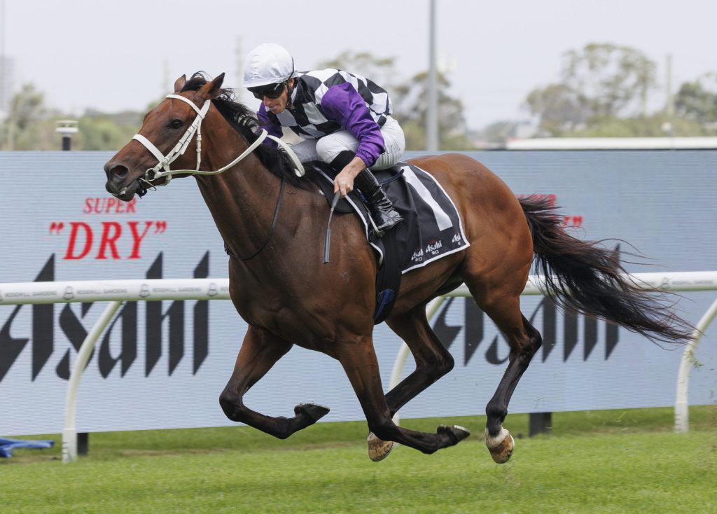 Osipenko snaps long losing streak in January Cup - ANZ Bloodstock News