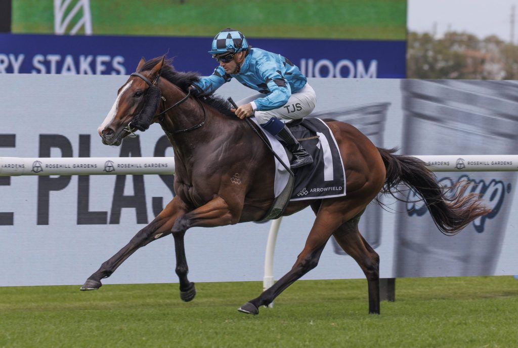 Blitzburg lives up to his name in Canonbury Stakes - ANZ Bloodstock News