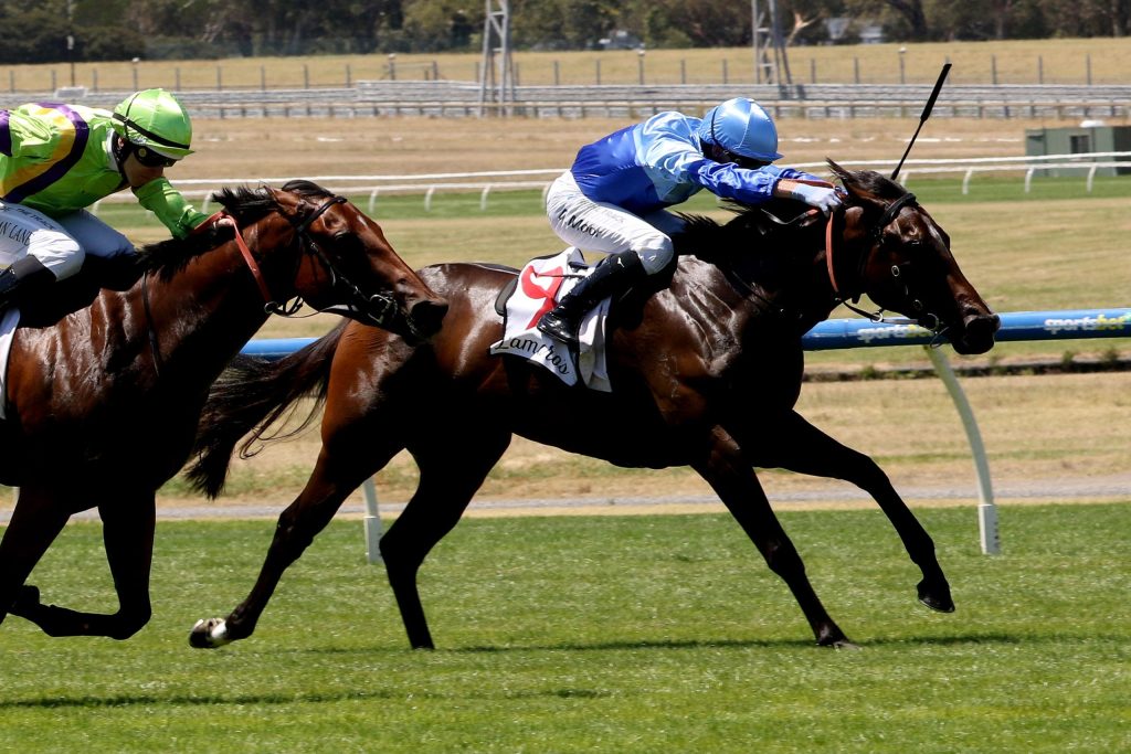 Inkaruna enters Blue Diamond running after debut Chairman’s Stakes win ...