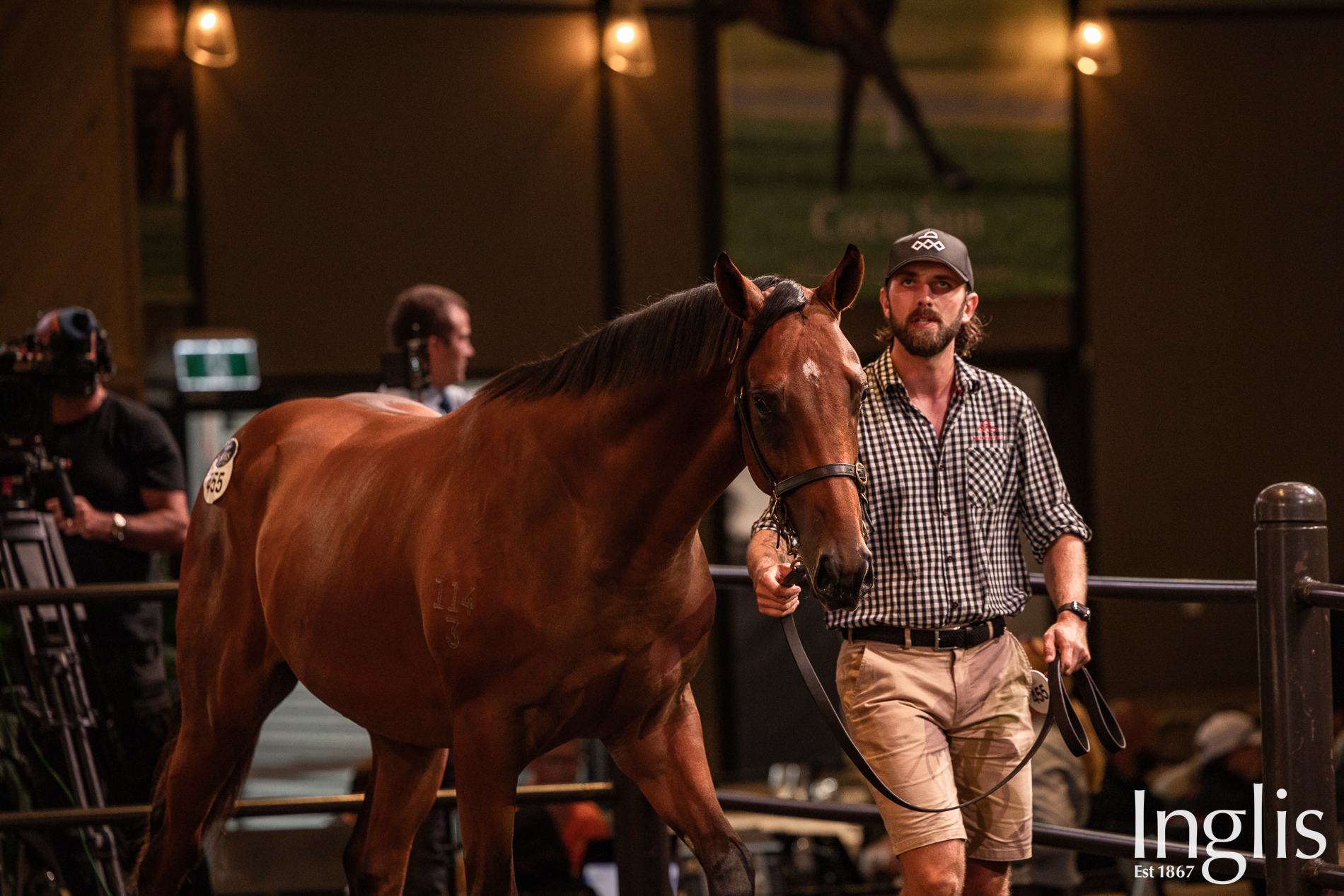 Munz and Hawthorne go down tried and tested route with Dundeel colt ...