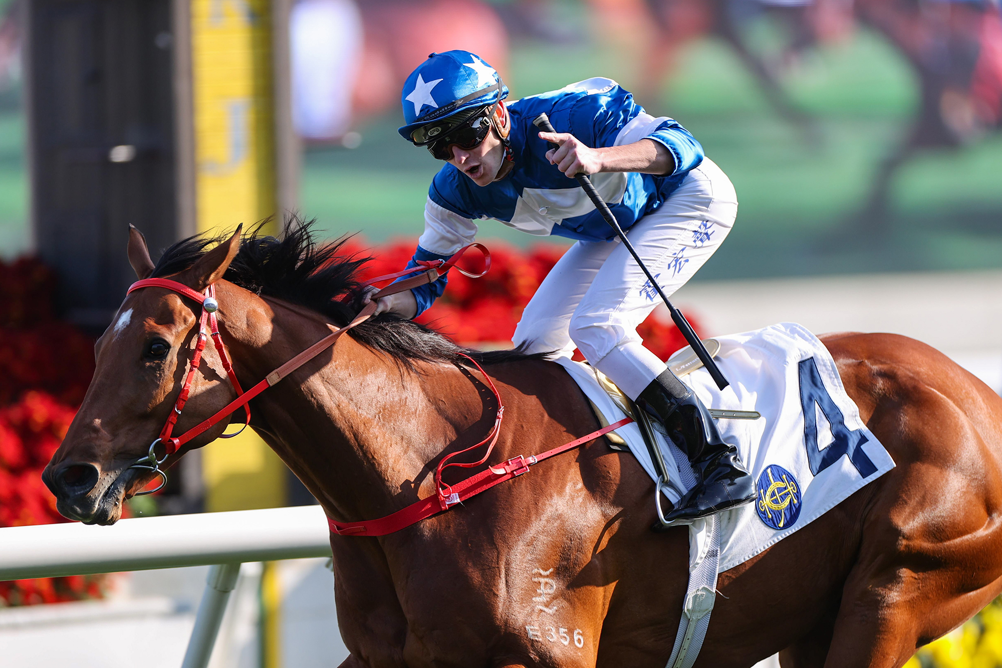 Luke Ferraris continues dream run with Lucky With You success - ANZ ...