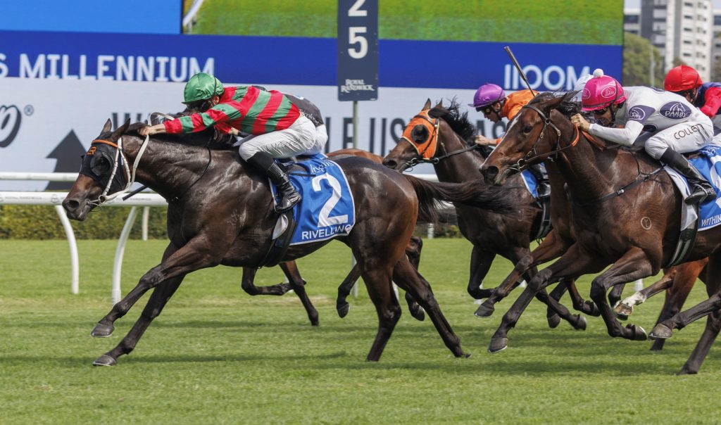 Rivellino proves too darn fast for Inglis Millennium rivals - ANZ ...