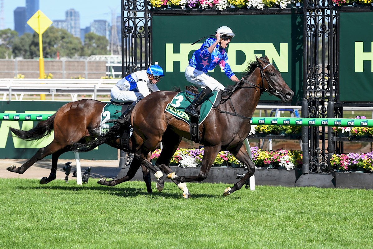 ‘Super Seth is our future’ - ANZ Bloodstock News