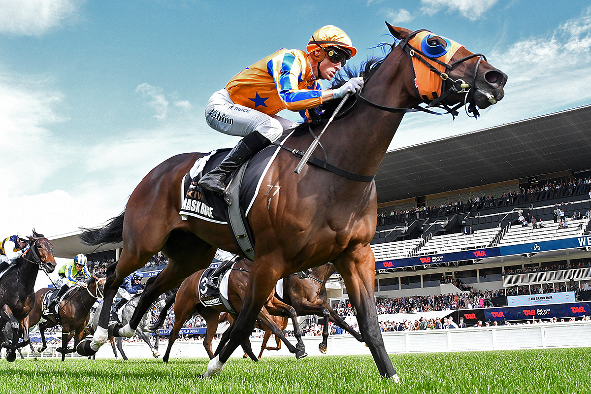 Shinn delivers a masterclass on Damask Rose in The Kiwi - ANZ ...