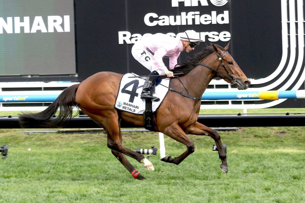 Too Darn Lizzie entered in the Inglis Chairman’s Sale - ANZ Bloodstock News