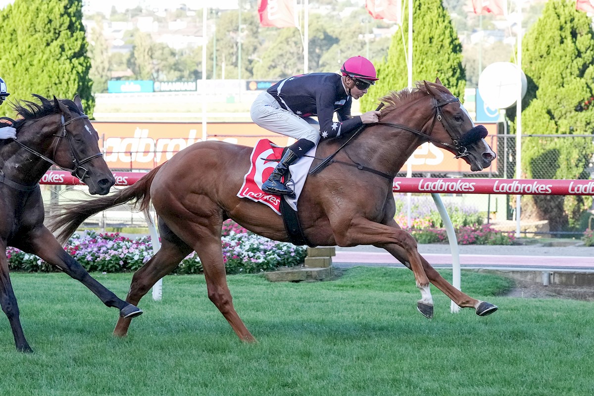 Befuddle (AUS) - ANZ Bloodstock News