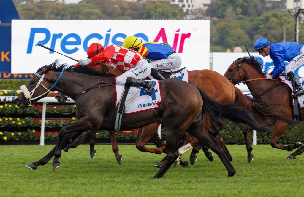 She's Got Pizzazz shines in PJ Bell - ANZ Bloodstock News