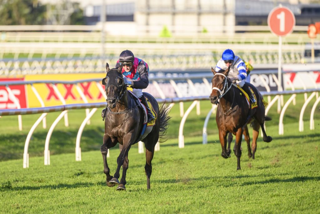 Antino blitzes Doomben Cup rivals - ANZ Bloodstock News