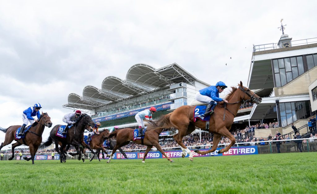 “This is what dreams are made of” – Desert Flower caps monumental ...