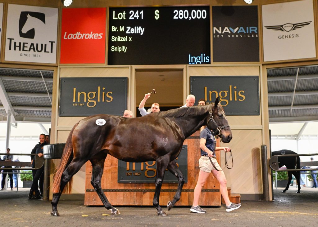 ‘We brought her to this sale to stand out and she certainly did that’ - ANZ Bloodstock News
