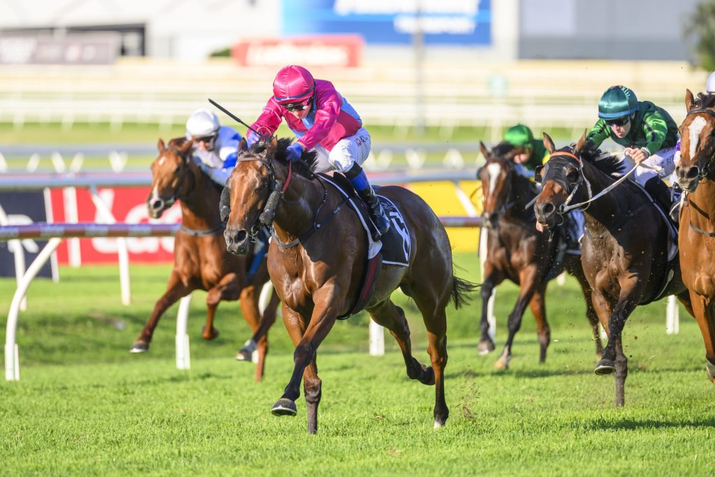 Talented filly Philia rockets into Queensland Oaks picture - ANZ ...