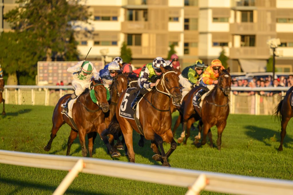 Imperialist - ANZ Bloodstock News