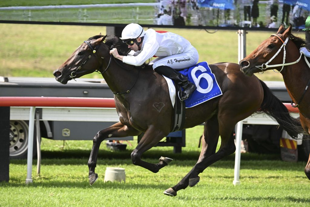 Torryburn filly looks set for Stardom after Woodlands win - ANZ ...