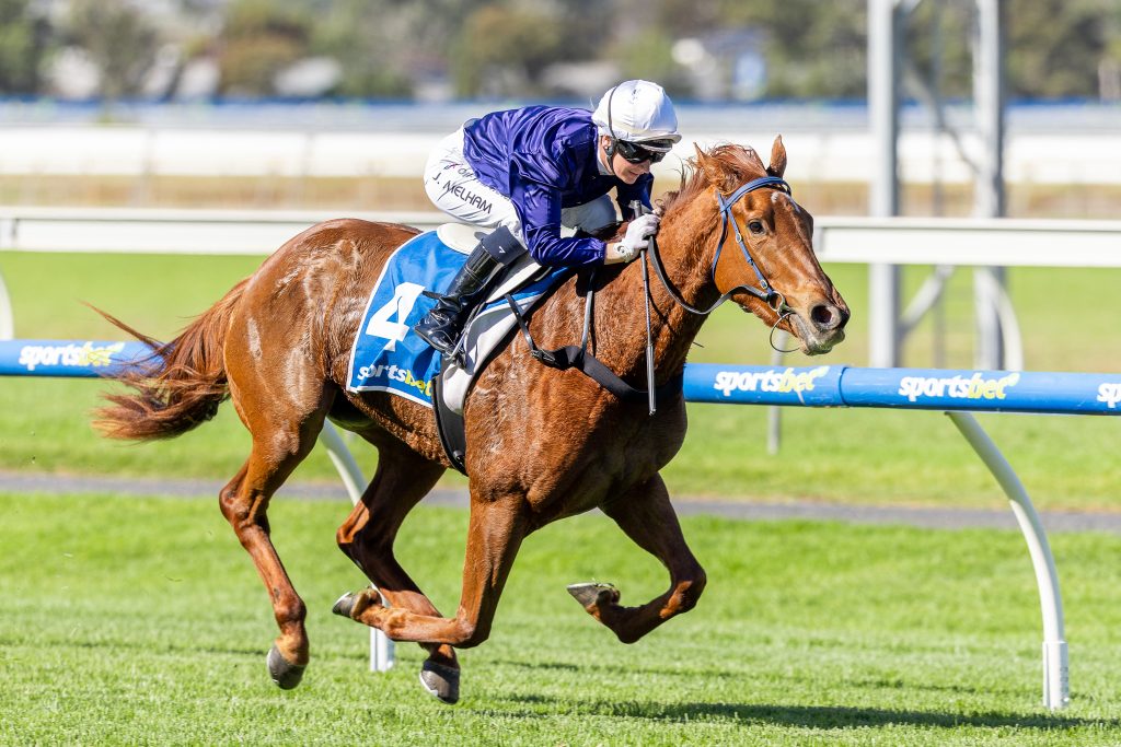 Steel Trap a landmark winner for Coolmore’s King’s Legacy - ANZ ...