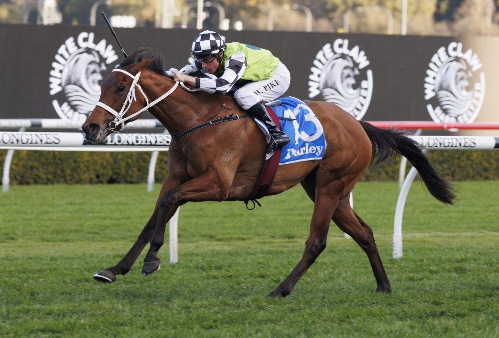 Gotcha moment for Coolmore on opening day of Magic Millions broodmare ...