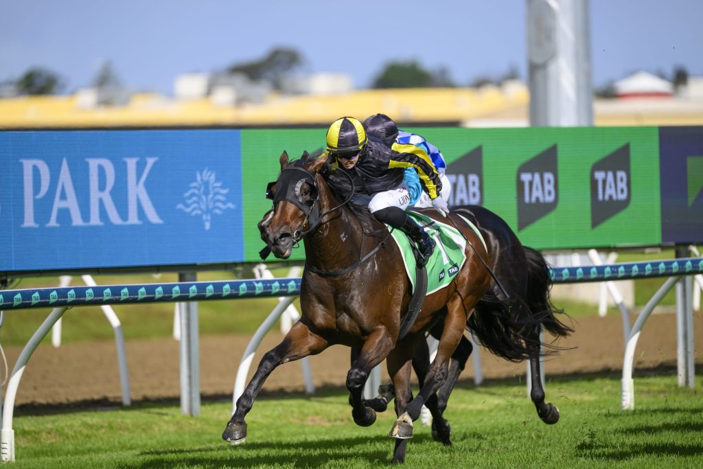 Floozie eyes a famous five in the Tatts Tiara - ANZ Bloodstock News
