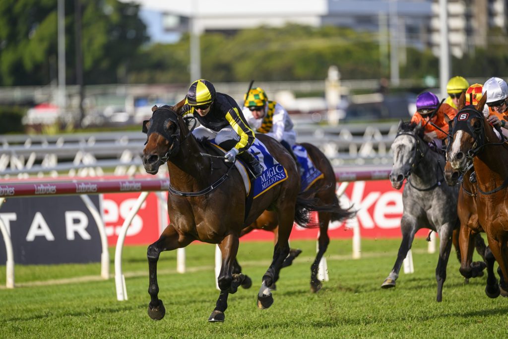 Tatts Tiara plan for well-bred Floozie - ANZ Bloodstock News