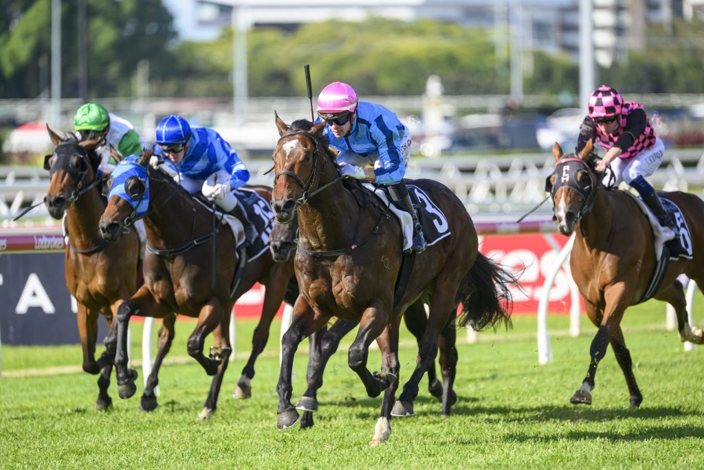 Brave Design notches first stakes win - ANZ Bloodstock News
