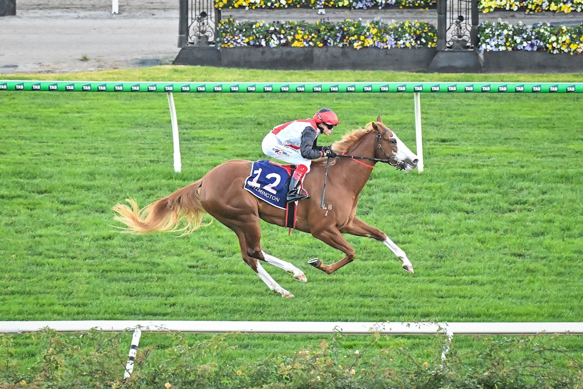 She’s An Artist paints another pretty picture for Le Metayer - ANZ ...