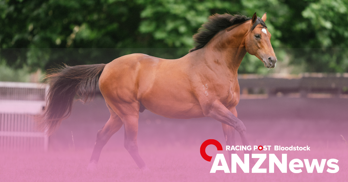 Ottobre goes to $270,000 for Book 2 topper as curtain comes down on ...