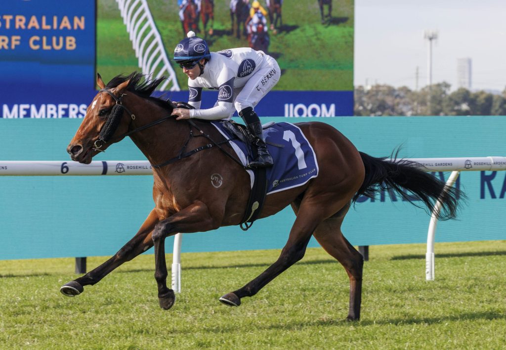 ‘He’s good, he’s ready to go’ - Raging Force bids to make it four on ...