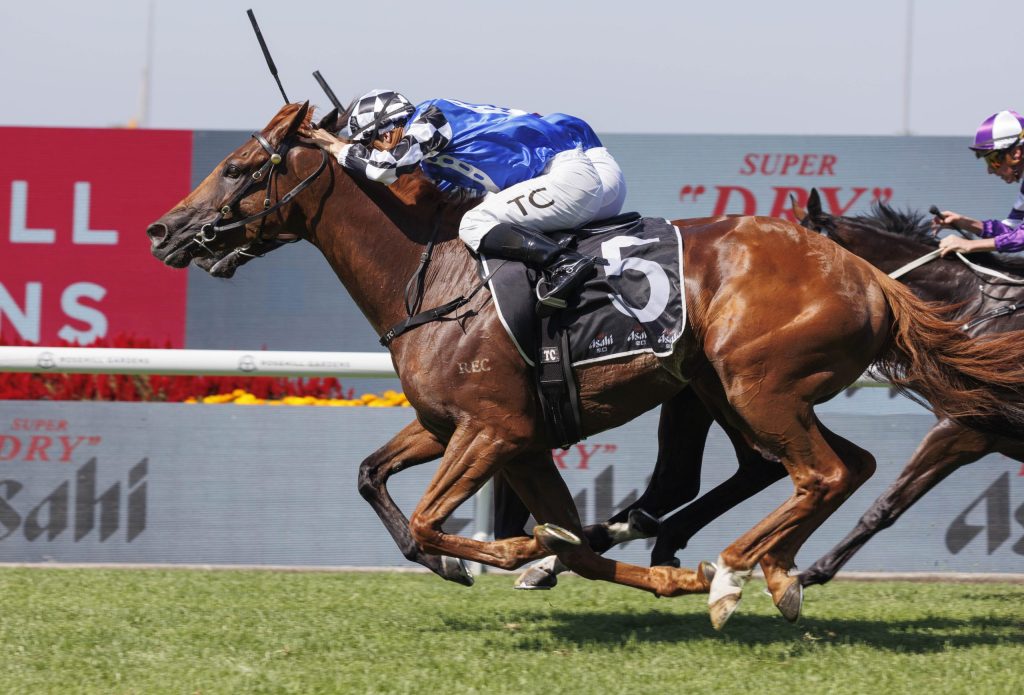 Melbourne Cup regular Vauban and Waller stars headline Randwick trials - ANZ Bloodstock News