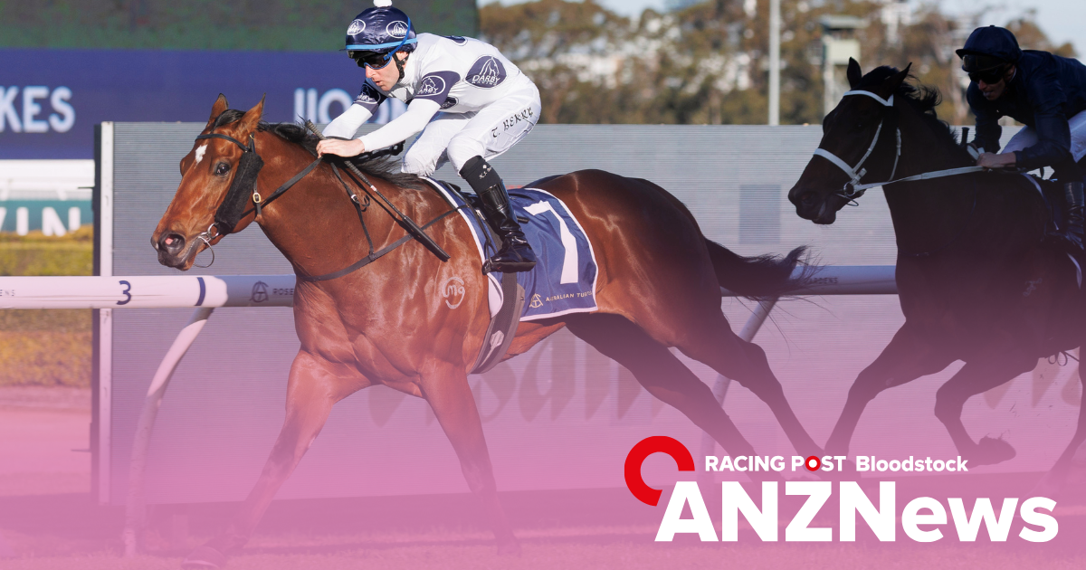 ‘You had to be buoyed by his last start’ – Raging Force set for another ...