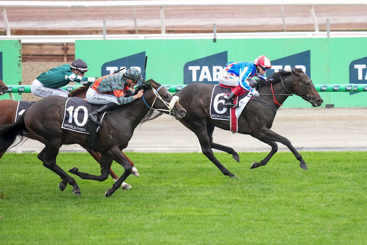 Ken and Bev’s Lass set to bid for Group 1 glory - ANZ Bloodstock News