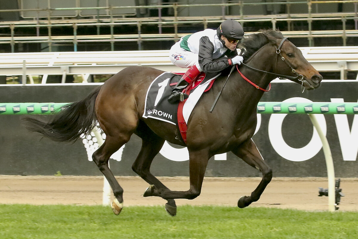 Mr Brightside caps off a huge day for Lindsay Park with historic Makybe ...