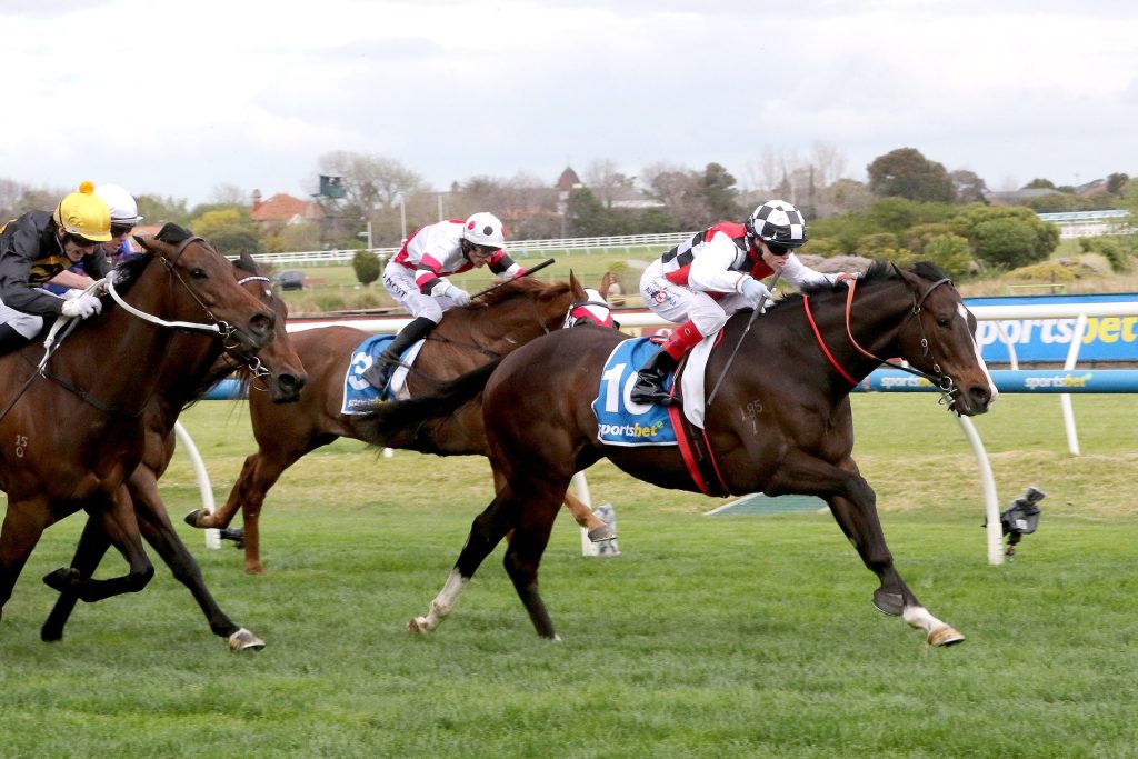 Sepals superb to land maiden Group 1 in Sir Rupert Clarke - ANZ ...