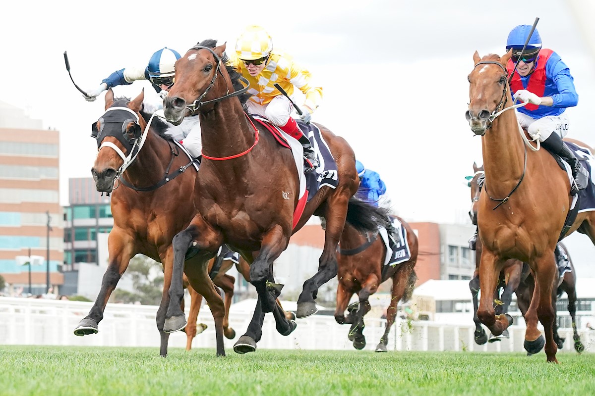 Sir Delius digs deep to land classy Underwood Stakes win - ANZ ...