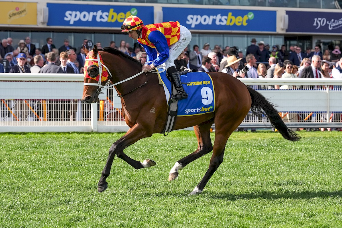 Autumn’s the Boy as he continues Guineas-winning family trait - ANZ ...