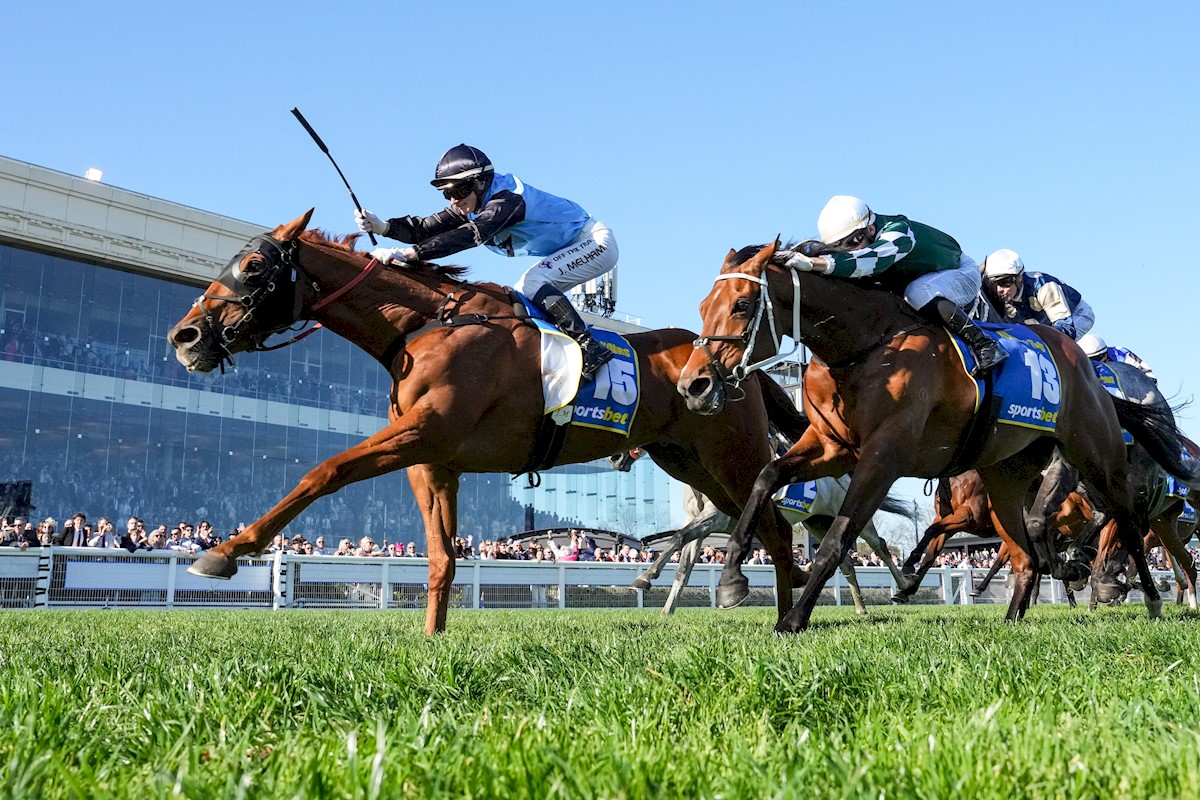 Joy for Tony and Calvin McEvoy as Half Yours skips away with Caulfield ...