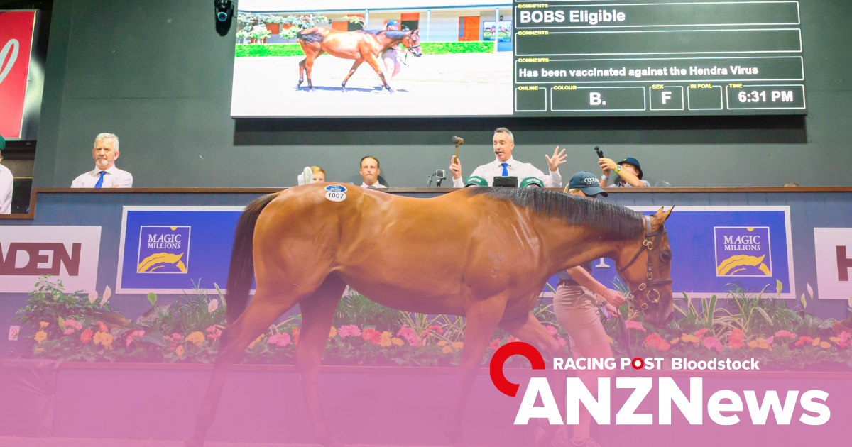 Magic Millions release quality catalogue for 2026 January sale on the ...