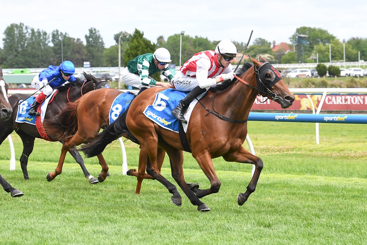 Ruska Roma - ANZ Bloodstock News