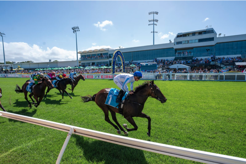 Shiki - ANZ Bloodstock News